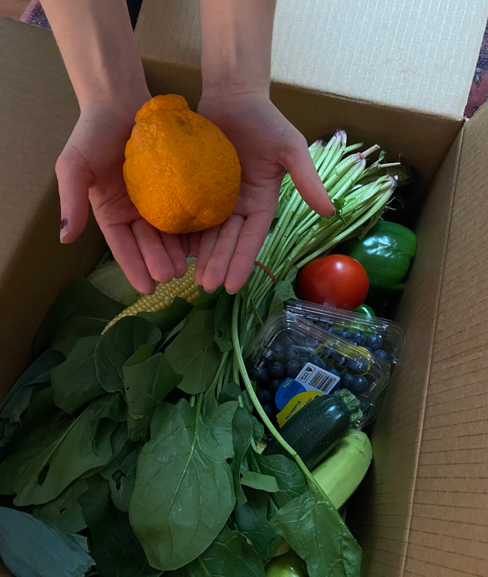 Our Boxes – Oddprod