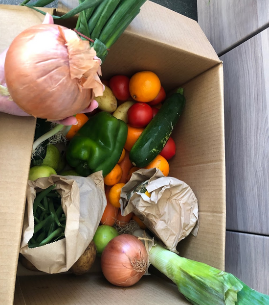 Our Boxes – Oddprod